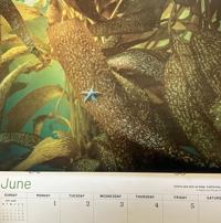 Event calendar June 11-17 | Things to Do | themountainmail.com