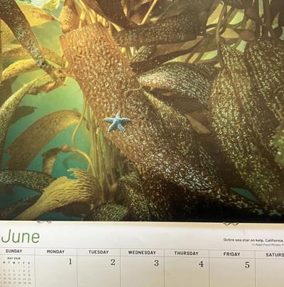 Community calendar June 4-11 | Local News | themountainmail.com