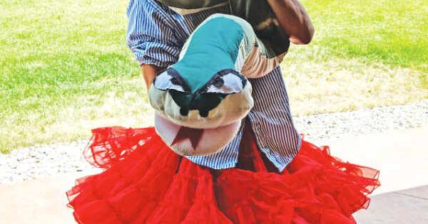 Circus seeks lost fake snake, tutu | Free Content | themountainmail.com