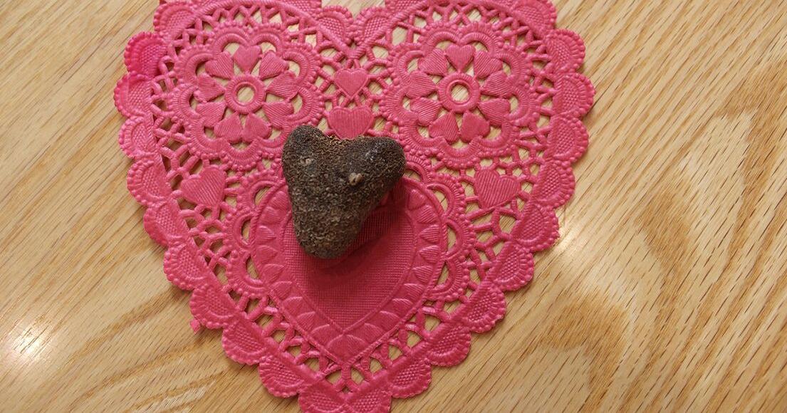 Petrified potato looks like a heart | Local News | themountainmail.com