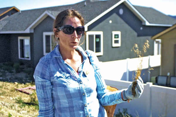 Malone battles weeds for county | Free Content | themountainmail.com