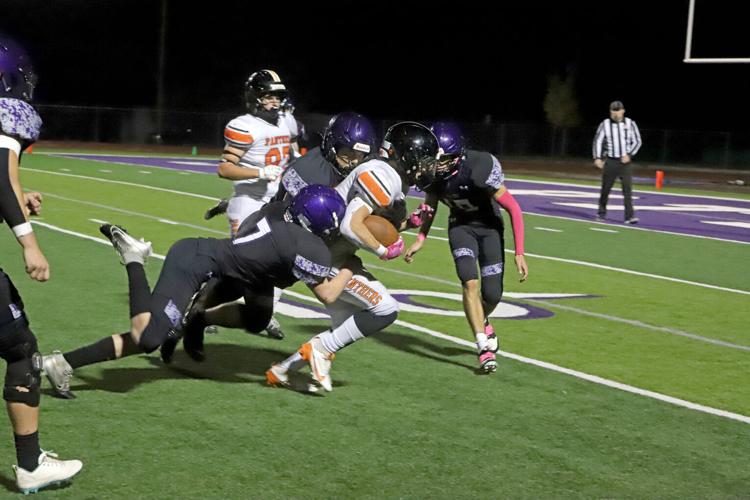 Spartans' best performance in loss to Panthers | Local News ...
