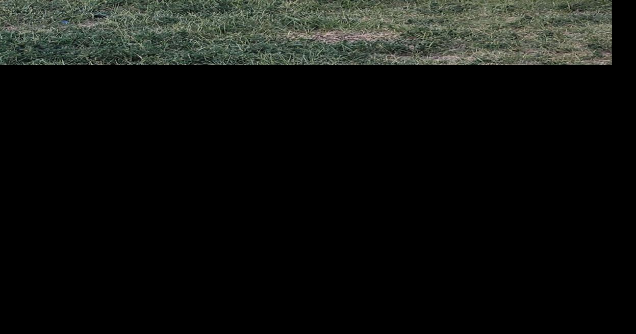 Shellabargers prepare for Chaffee County Fair & Rodeo | Local News ...