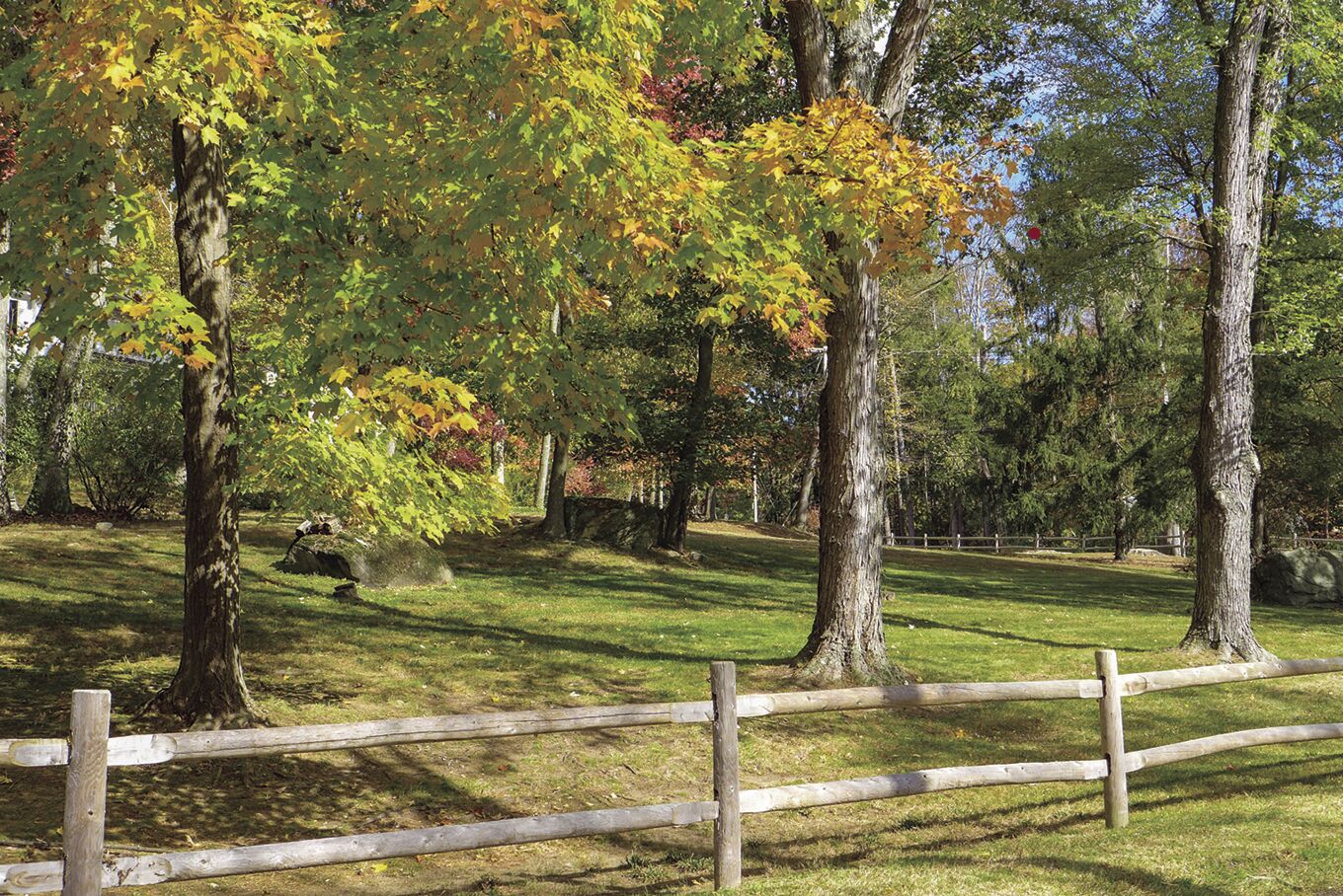 Winter tree care tips from CSU Extension | Columnist | themountainmail.com