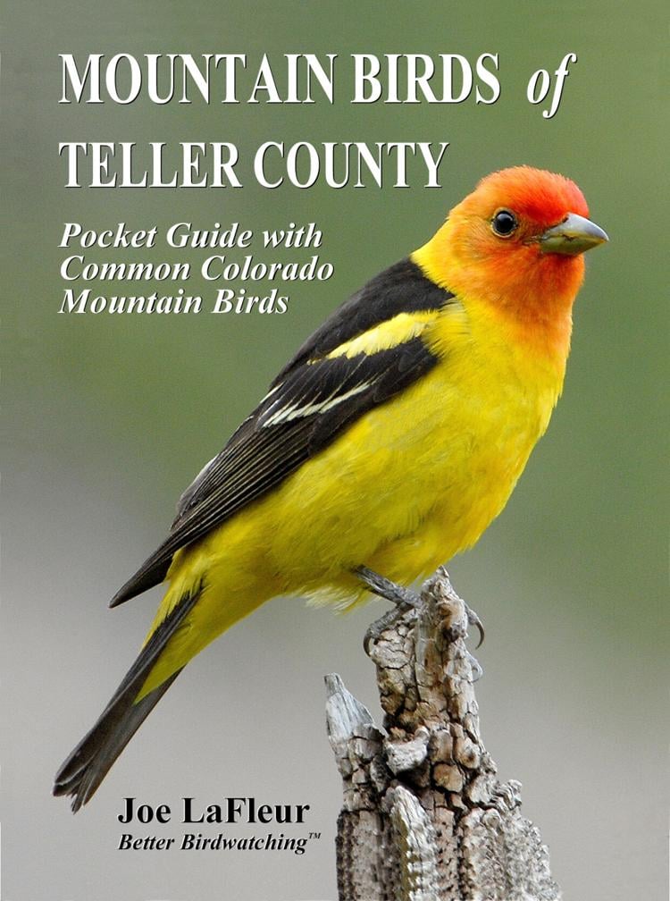 LaFleur to host free bird walk, programs in BV and Salida | Local News ...