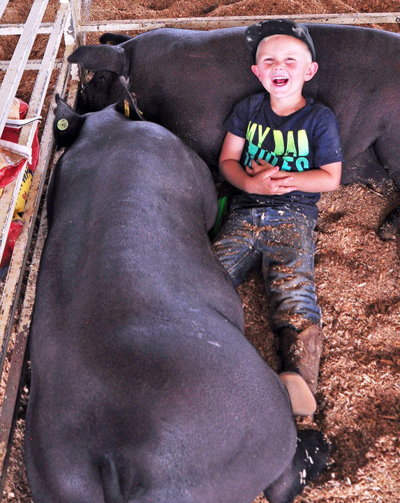 Chaffee County Fair & Rodeo | Free Content | themountainmail.com