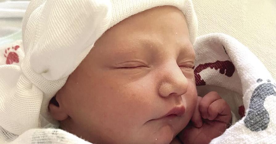 New Arrival - Charlotte Elizabeth Shelley | Milestones ...