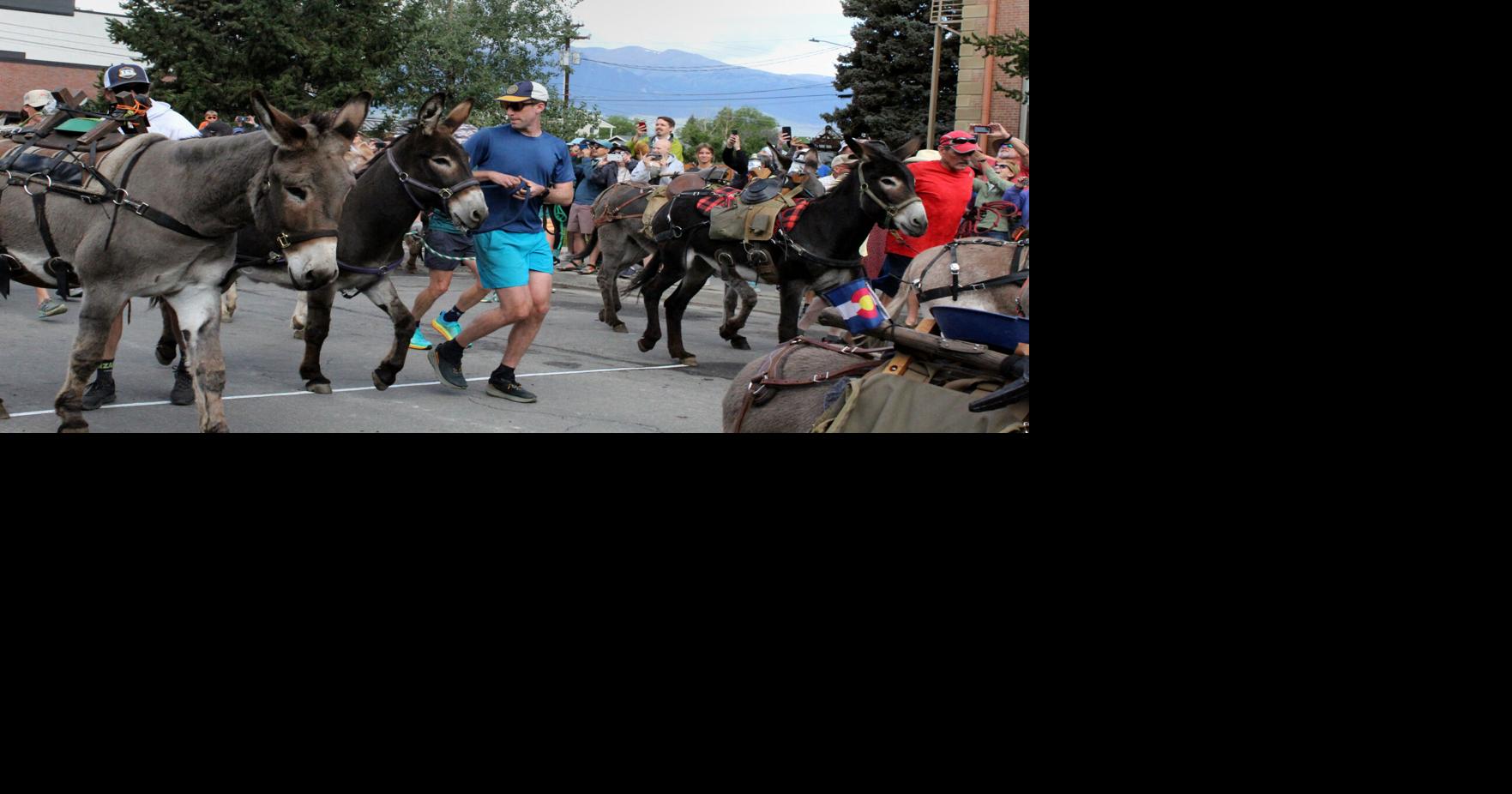 Burro race Triple Crown concludes in Buena Vista: Loughlin, Mary ...