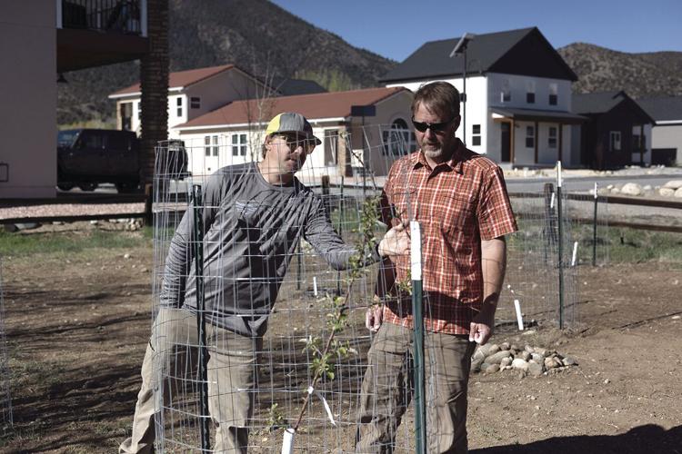 Bellingar is Chaffee’s own Johnny Appleseed | Local News ...