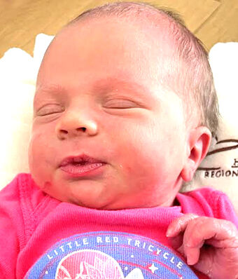 Margo Sharon Webber | Community | themountainmail.com