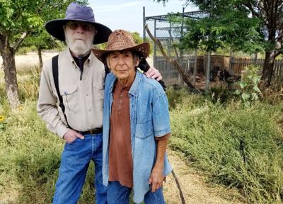 Wetmore wild animal refuge faces financial pressures | Local News ...