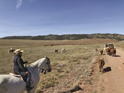 Nancy Roberts wins 2023 Conservation Award | Community ...