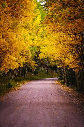 Weekly Roundup Sept. 20 - 26 | Multimedia | themountainmail.com