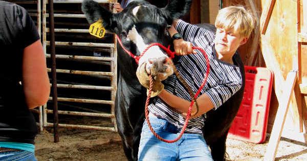 Weigh-in tips scales at 27,156 pounds | Local News | themountainmail.com