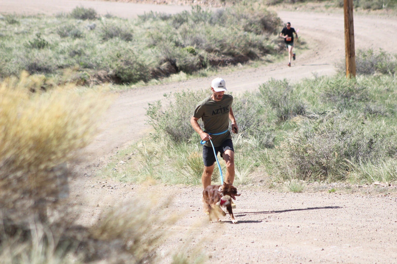 Tails on Trails returns June 21 on Tenderfoot Mountain | Local News ...