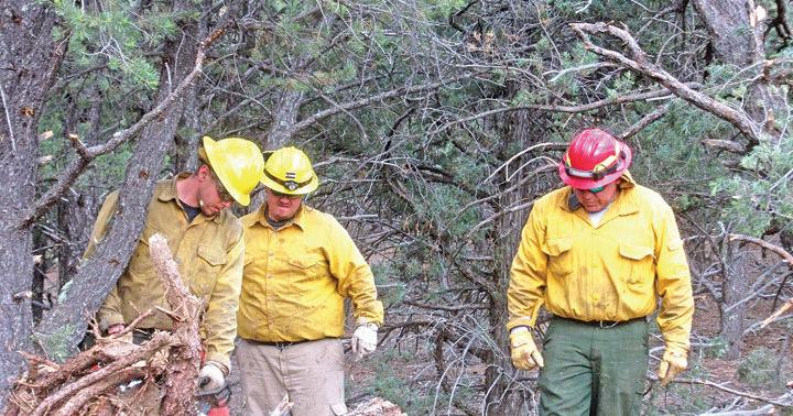 Crews from 14 states participated in Hayden Pass Fire efforts | Free ...