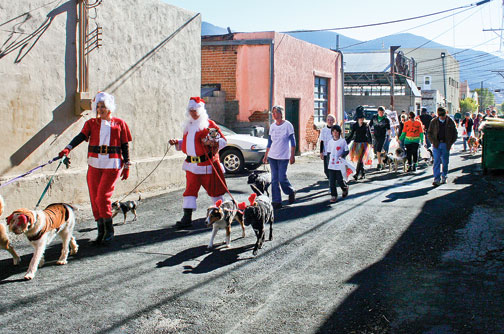 Howl and Prowl parade showcases Salida dogs | Free Content ...