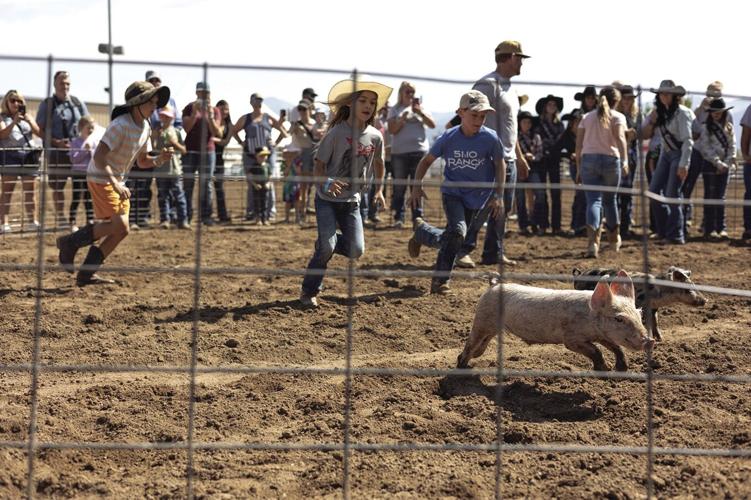 Kids catch pigs, win prizes at fair | Multimedia | themountainmail.com