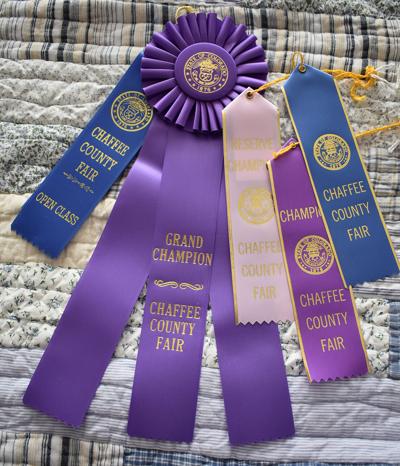 County fair open class includes everyone | Local News | themountainmail.com