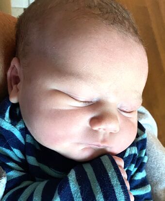 Logan Bryan Jacobson | Birth | themountainmail.com