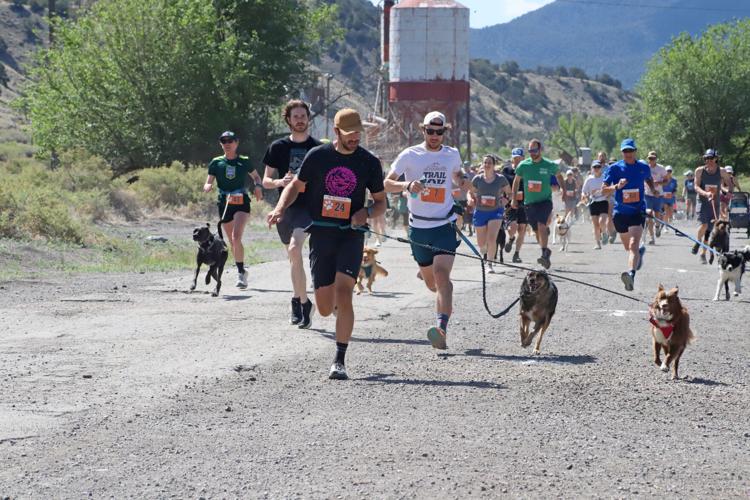 Lundberg and Peaches win Tails on the Trails 5k | Local News ...