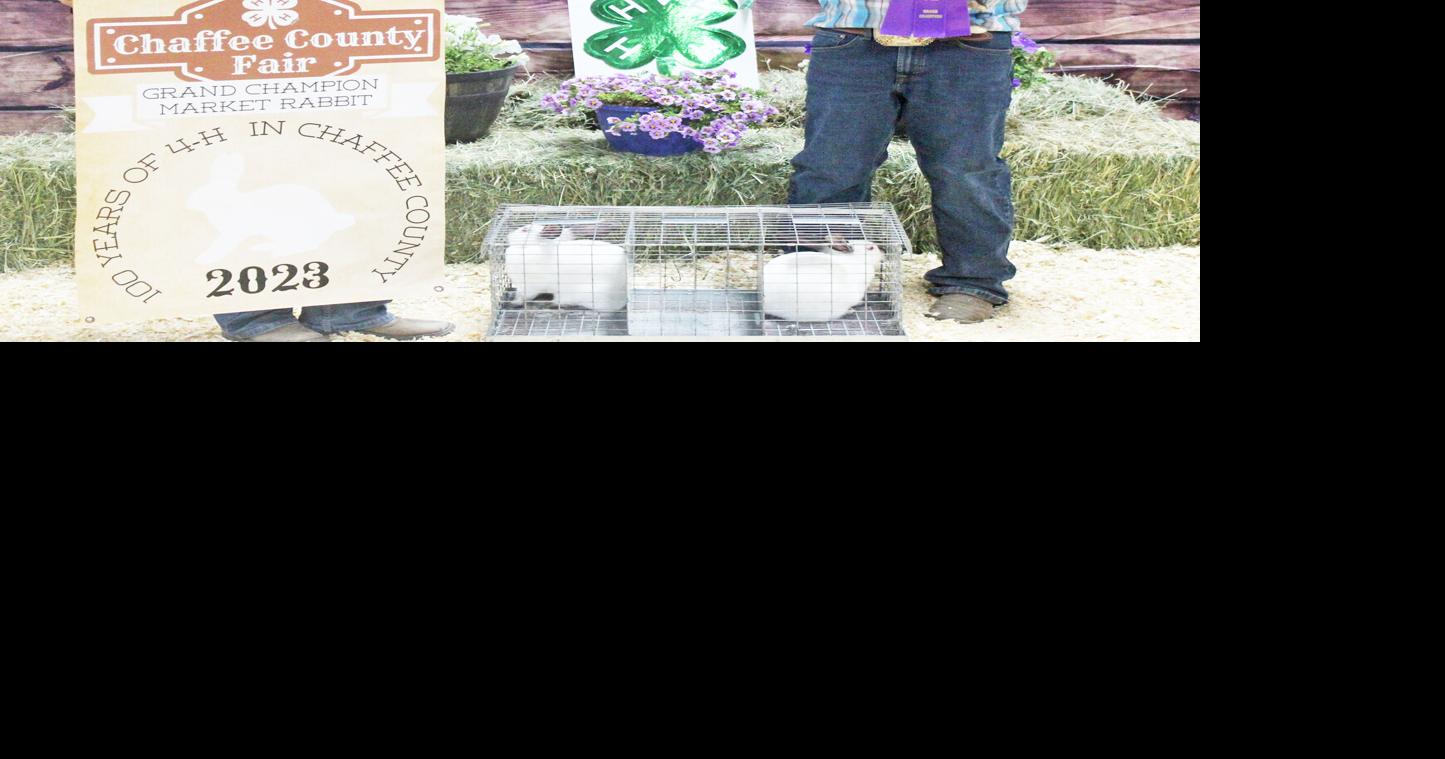 LaRue wins 4-H rabbit competition | | themountainmail.com