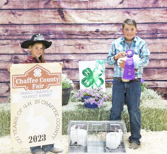 LaRue wins 4-H rabbit competition | | themountainmail.com