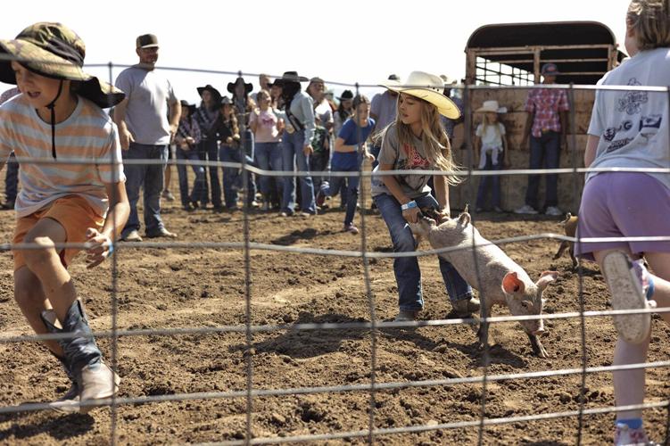 Kids catch pigs, win prizes at fair | Multimedia | themountainmail.com