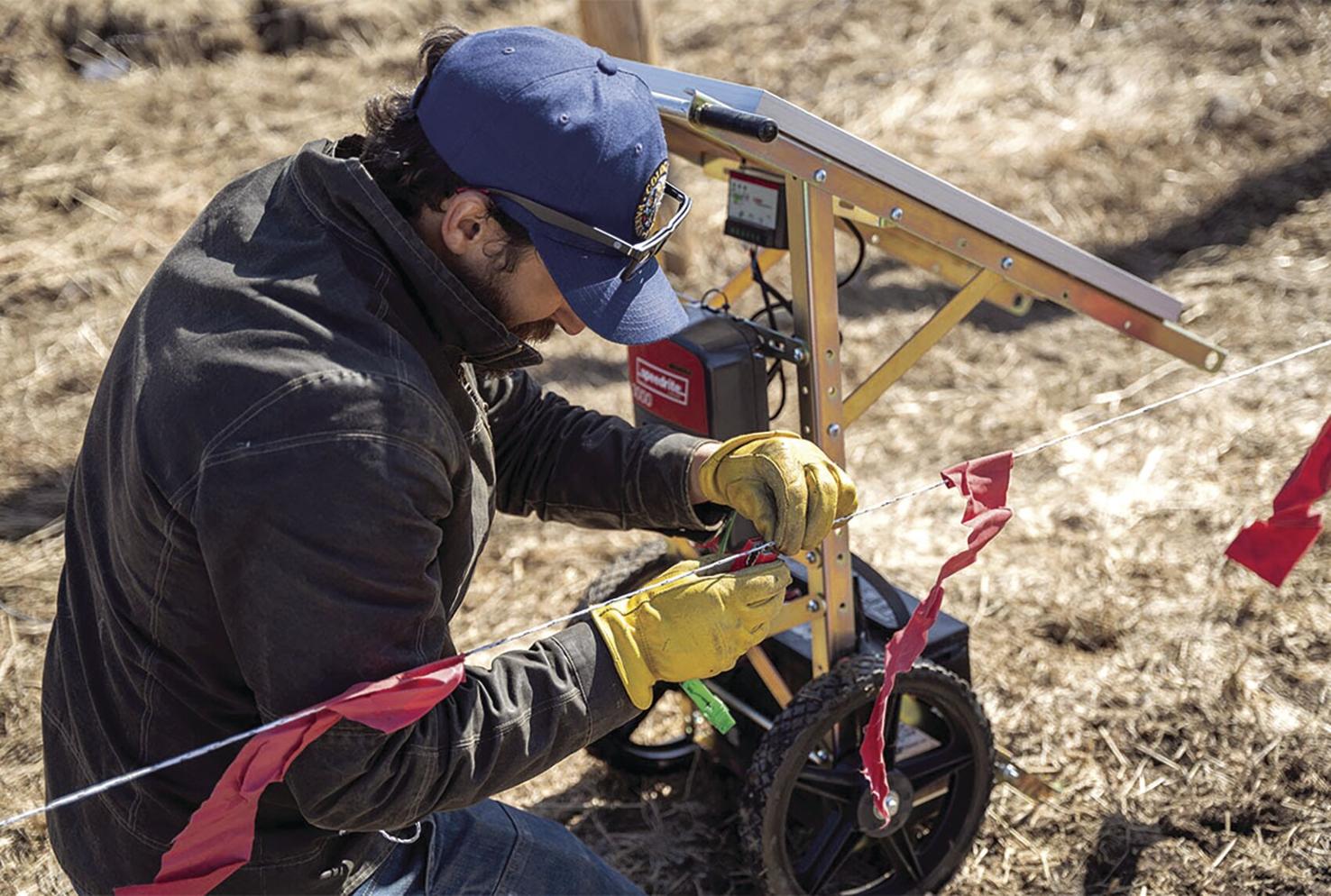 CPW, Dept. of Ag to host wolf conflict reduction training | Local News ...