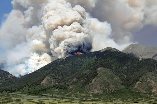 Ox Cart Fire grows to 1,151 acres | Local News | themountainmail.com