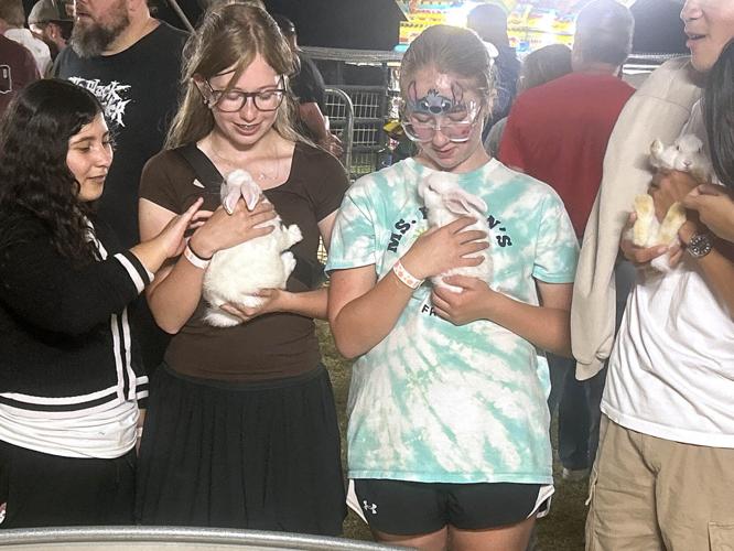 Fun at the Fair | News | themountainpress.com