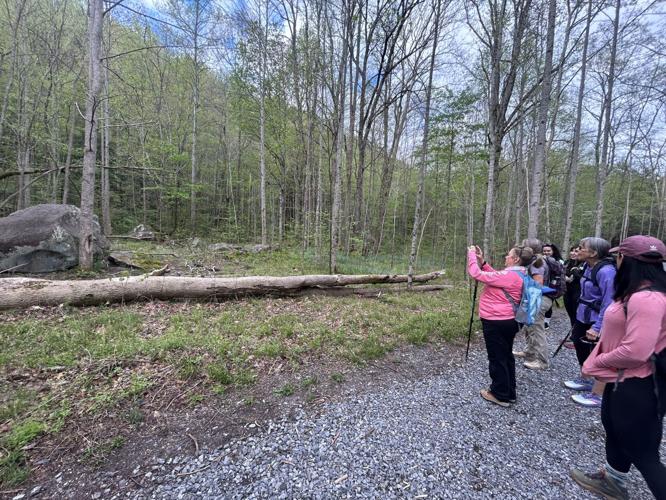 Sevierville Parks & Rec kick off annual spring hikes | News ...