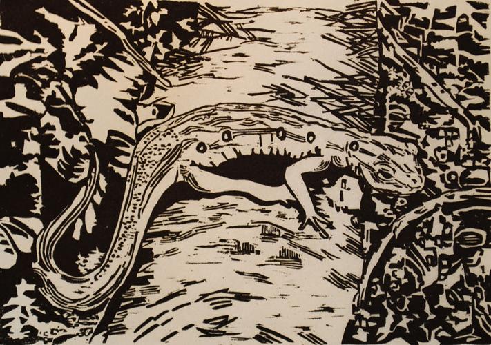 Printmaker Martha Martin concludes her Smokies national park residency ...