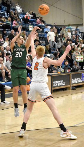 Tigers lose in overtime to Greenback | Sports | themountainpress.com