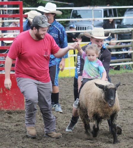 A father helping his daughter ride the sheep. | Lafollette ...