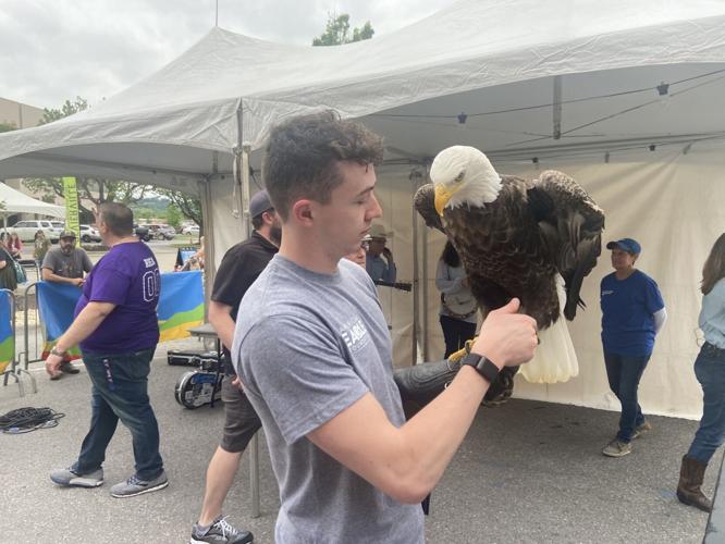 Bloomin' BBQ Music & Food Festival kicks off | News | themountainpress.com