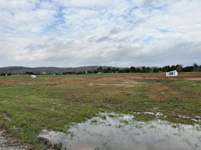 TVA makes another SMR announcement | News | themountainpress.com