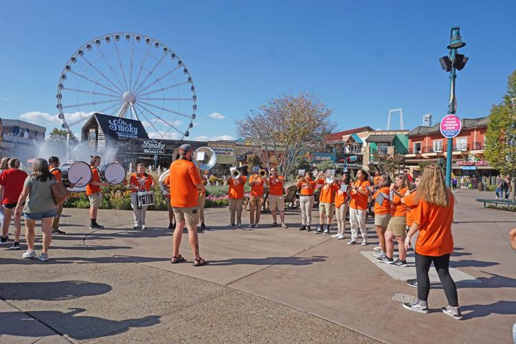 Alzheimer's Tennessee holds successful Smoky Mountain Walk to Make ...