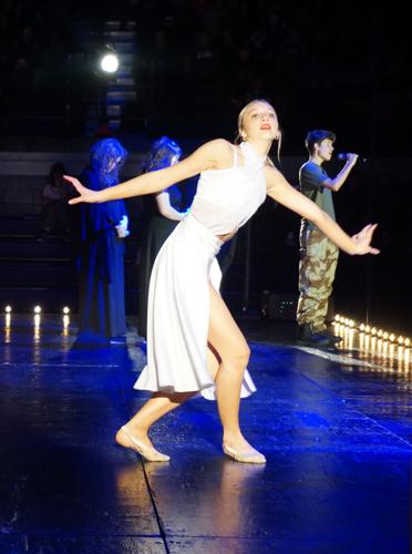 SCHS honors veterans | News | themountainpress.com