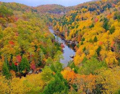 Submissions being accepted for annual Obed Photo Contest | News ...