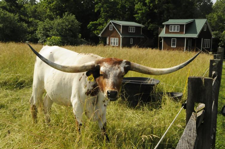 Wears Valley Ranch celebrating 30 years | Faith | themountainpress.com