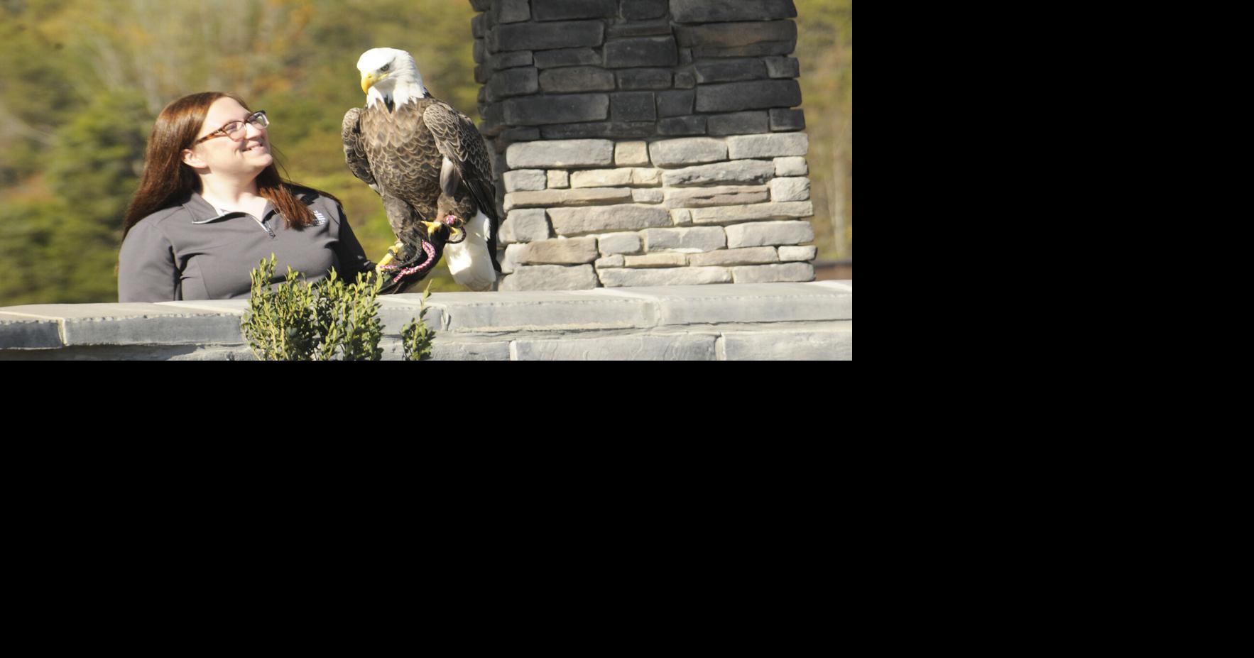 American Eagle Foundation opens new educational center in Kodak | News | themountainpress.com