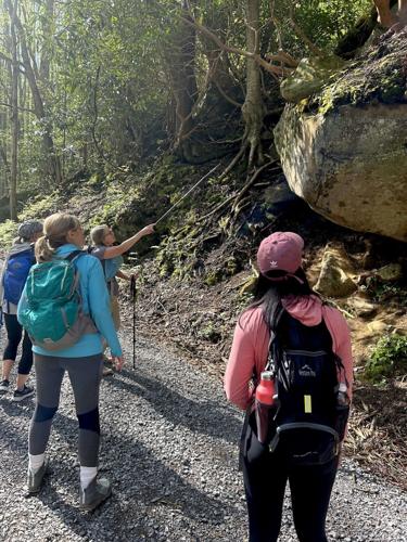 Sevierville Parks & Rec kick off annual spring hikes | News ...