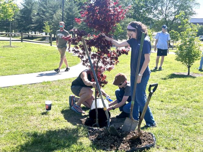 Sevierville celebrates 40 years as Tree City USA | News ...