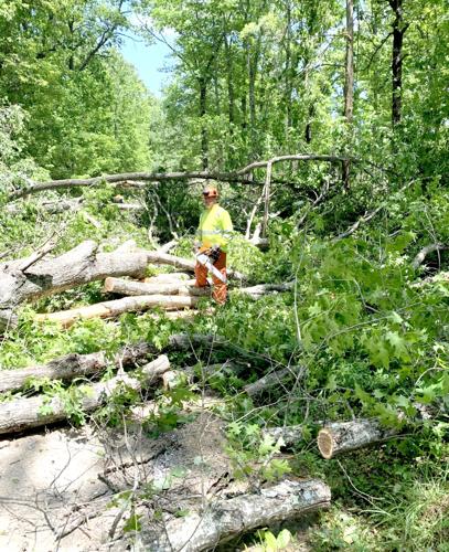 Temporary trail closure during ongoing storm recovery | Outdoors ...
