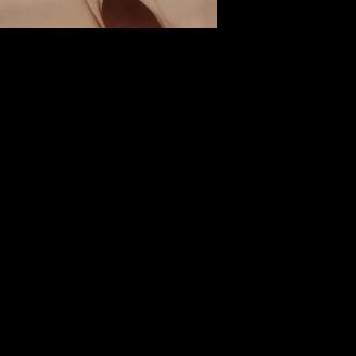 Ronald Edward Merritt | Obituaries | themountainpress.com