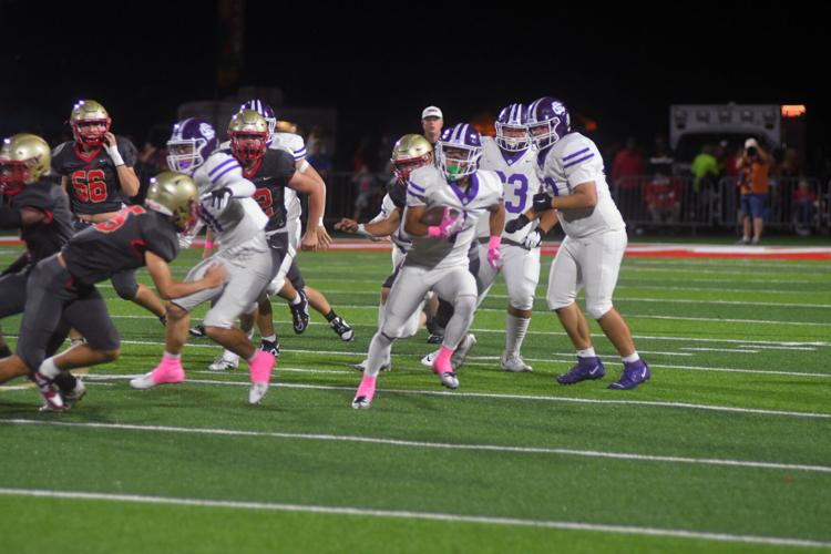 Smoky Bears remain unbeaten in region play with 24-7 win over Daniel ...