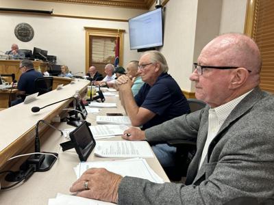 Berry in running for key NACo position | News | themountainpress.com