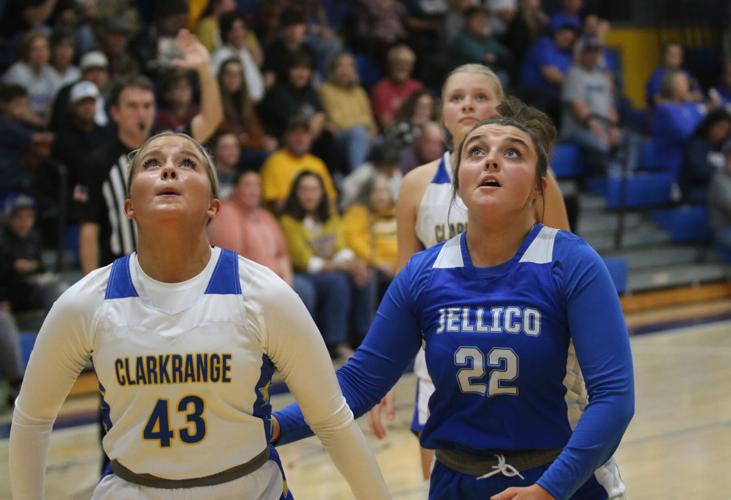 Second-half struggles plague Lady Blue Devils | Lafollette ...
