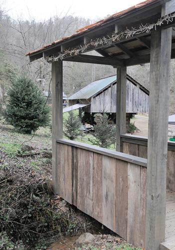 History, nostalgia helps Wilson Glyn tree farm | News ...